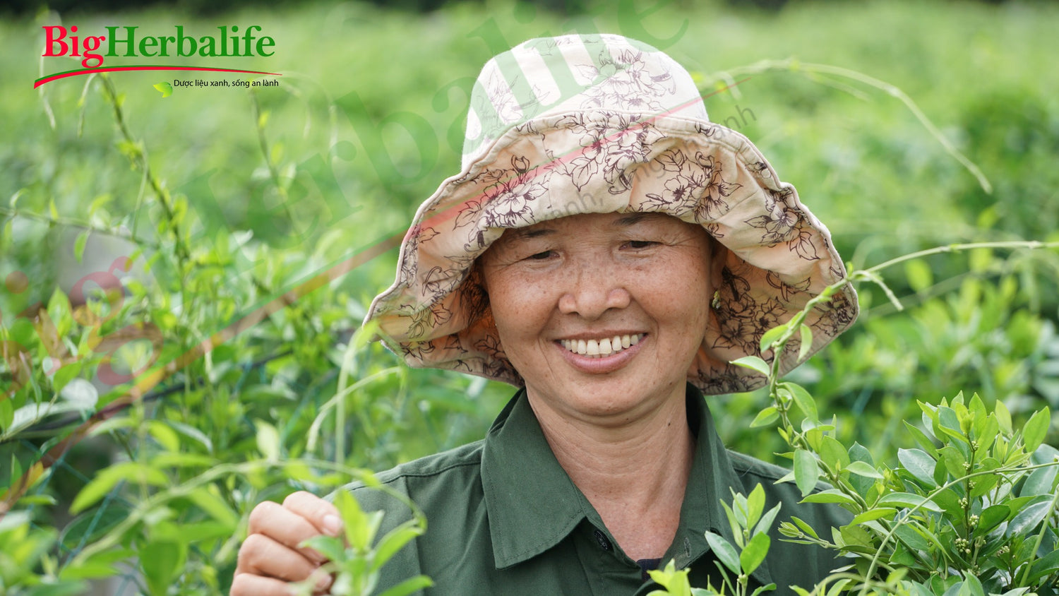 Thik&Fix - Brand Story – Thik&Fix Hair Regrowth Treatments